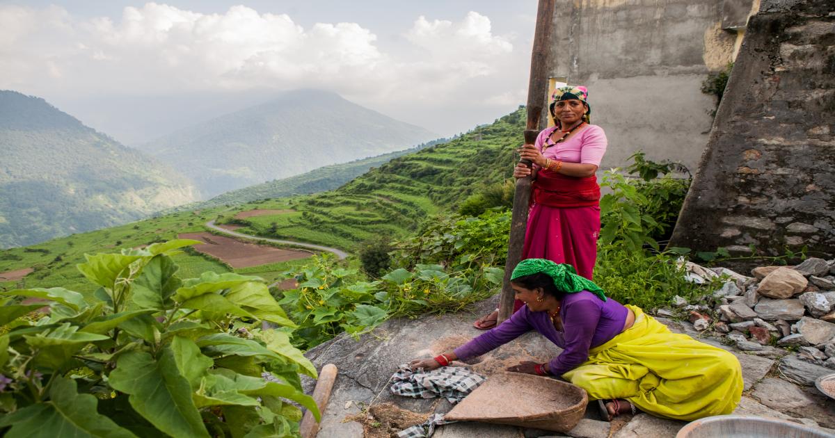 Traditional farming brings prosperity to many despite pandemic