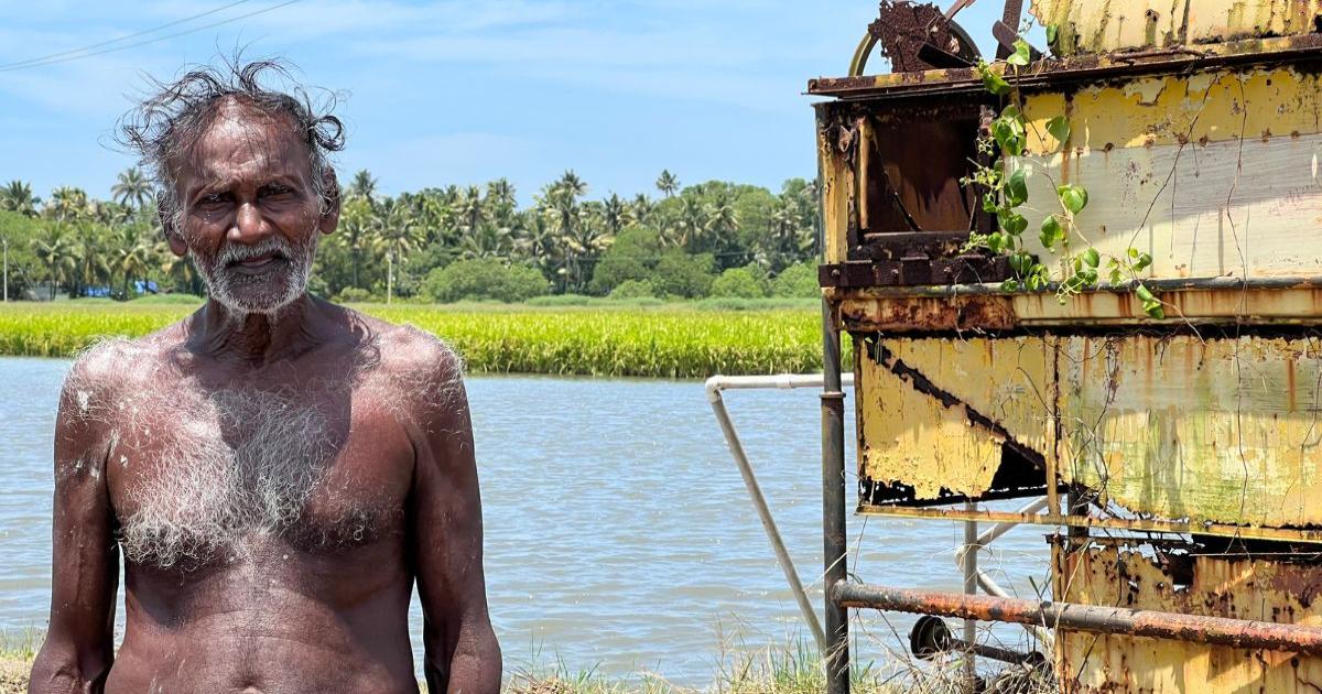 Kerala has miles to go to make integrated Pokkali lucrative
