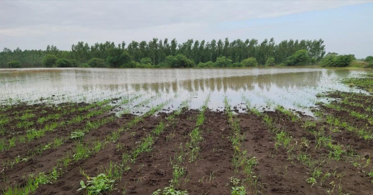 Kaleshwaram lift irrigation project opens a barrage of woes in border ...