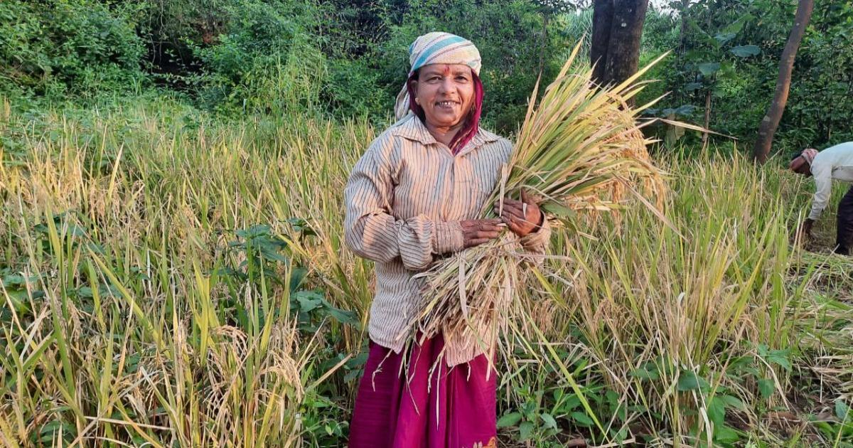 Farmers in six villages of Maharashtra’s Shirala ditch high-yielding ...
