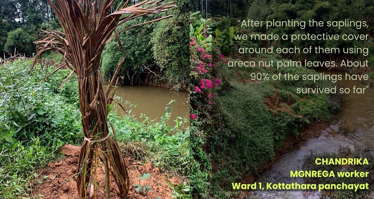 To prevent further devastation from floods, Kerala’s Wayanad turns to ...